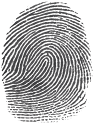 Behind Fake Fingerprint Detection: How it Works?