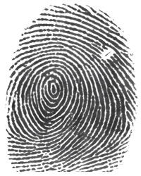 Behind Fake Fingerprint Detection: How it Works?